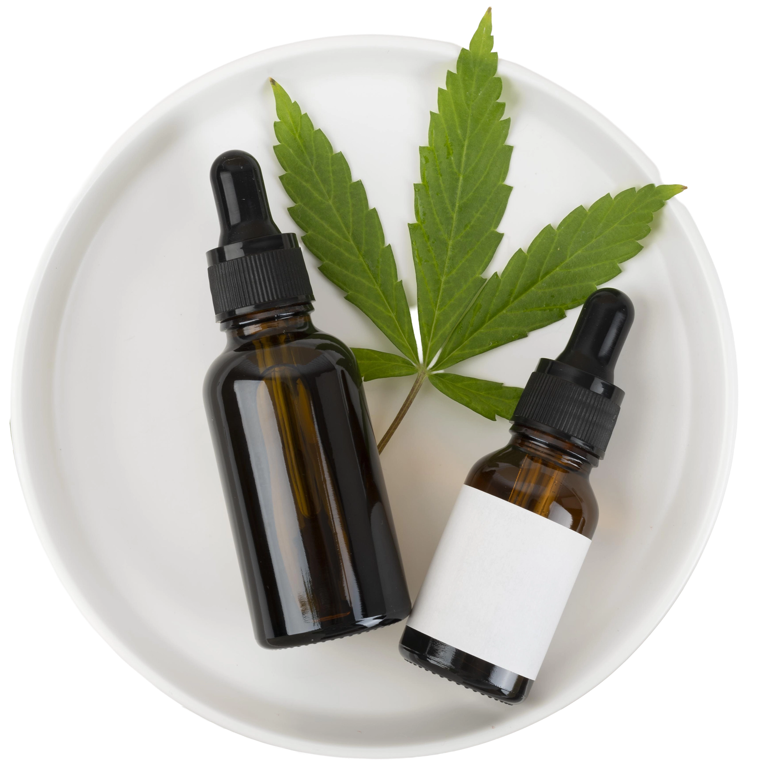 Hemp – Versatile and Sustainable Products for Health and Wellness ...
